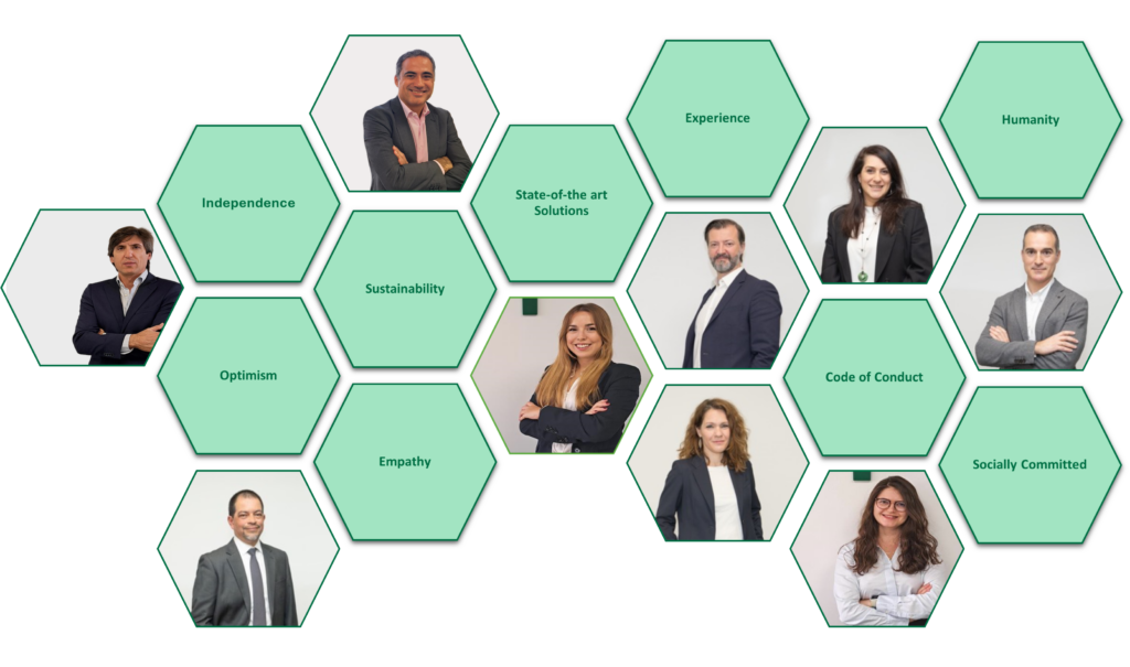 About us - MAI Group